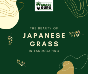 The Beauty of Japanese Grass in Landscaping - Grass Guru